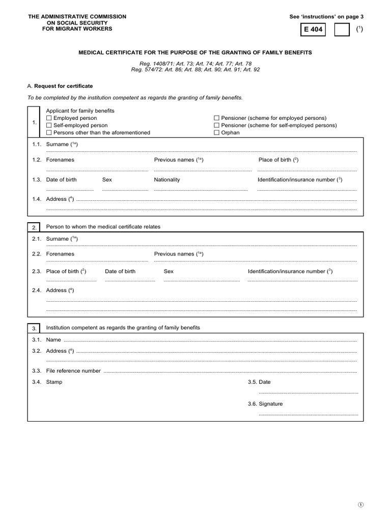 E404 en | PDF | Identity Document