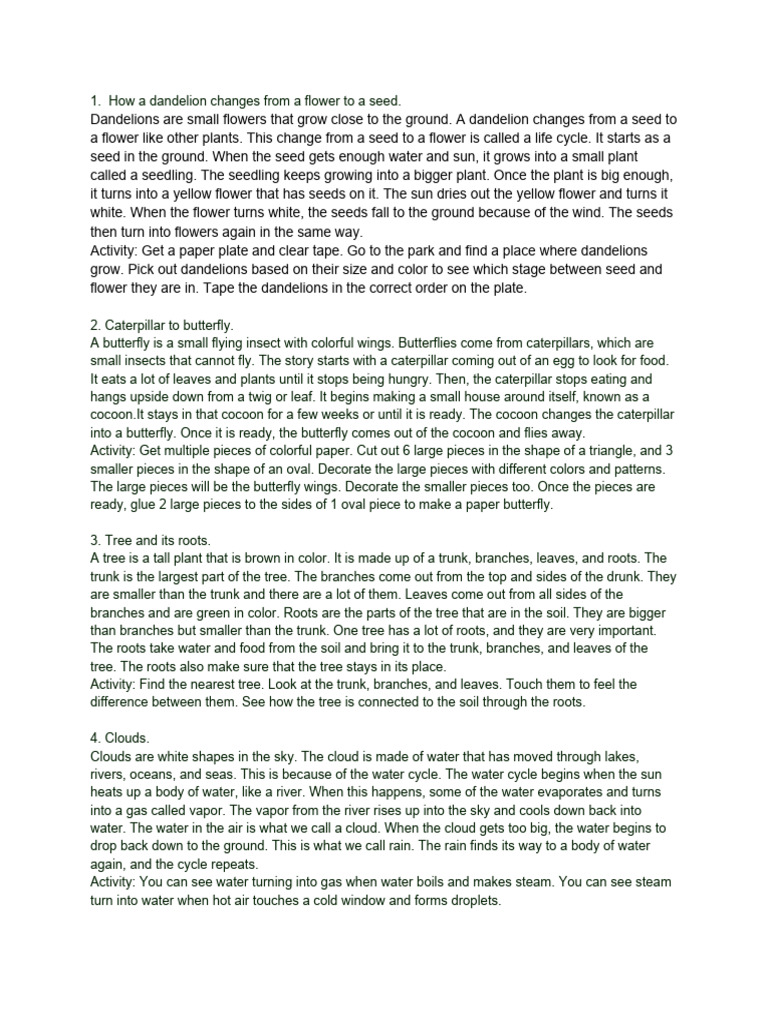 Short Descriptions For Kids | PDF | Honey | Bees