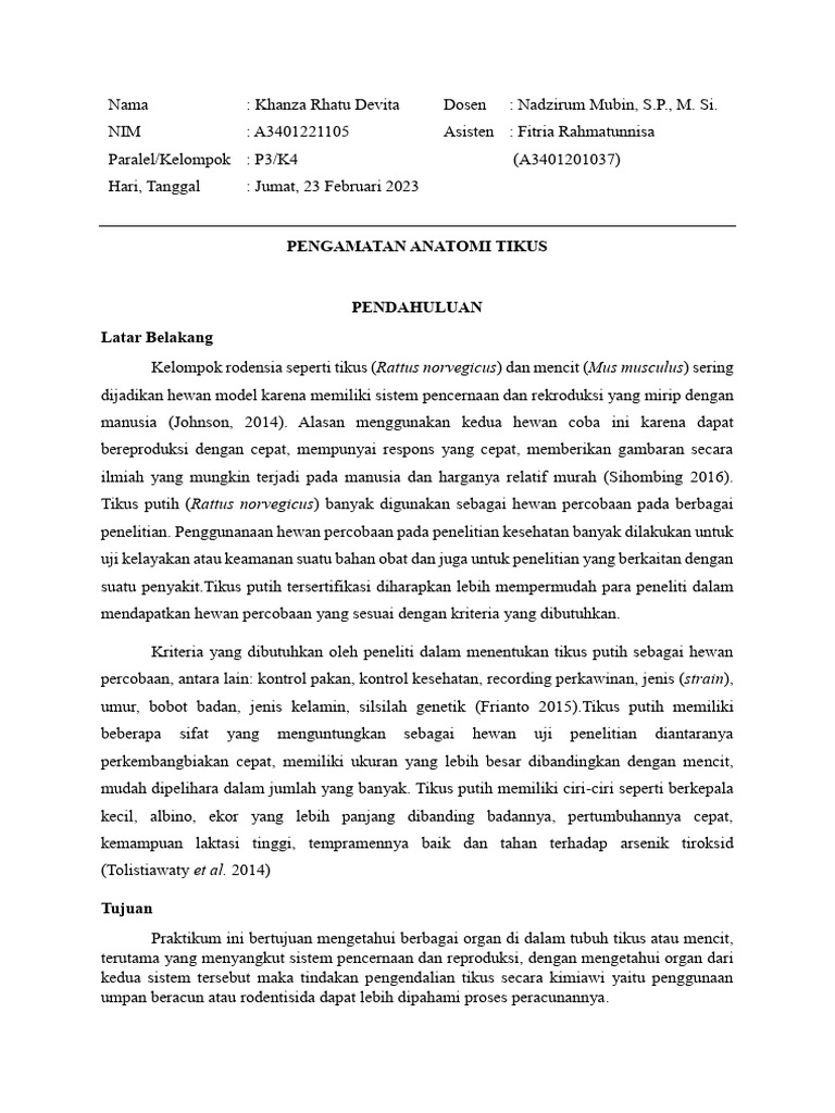 Anatomi Tikus - Khanza Rhatu Devita | PDF | Kesehatan Holistik | Sains ...