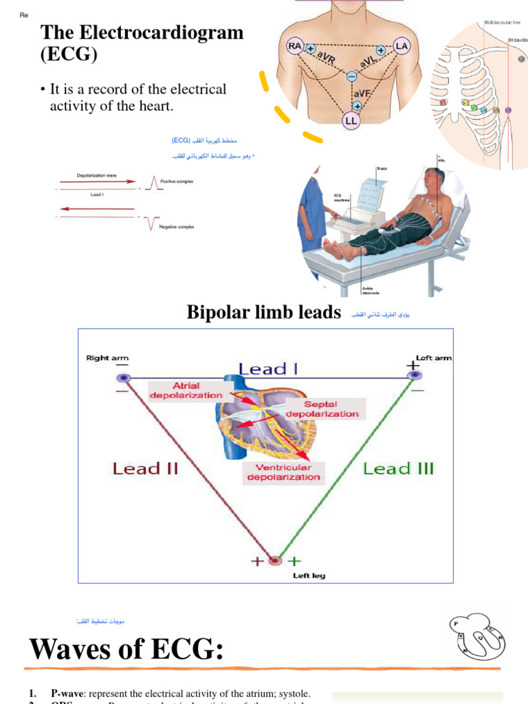 CVS Practical (1) | PDF