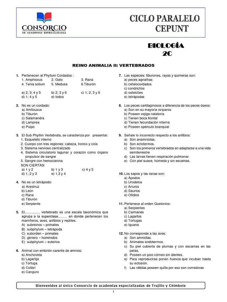 BIO. (2C) REINO ANIMALIA II VERTEBRADOS 01-07-21 | PDF | Vertebrados ...