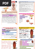 TARGET UTI Leaflet All Ages V1.1 DOC UKHSA | PDF | Urinary Tract ...