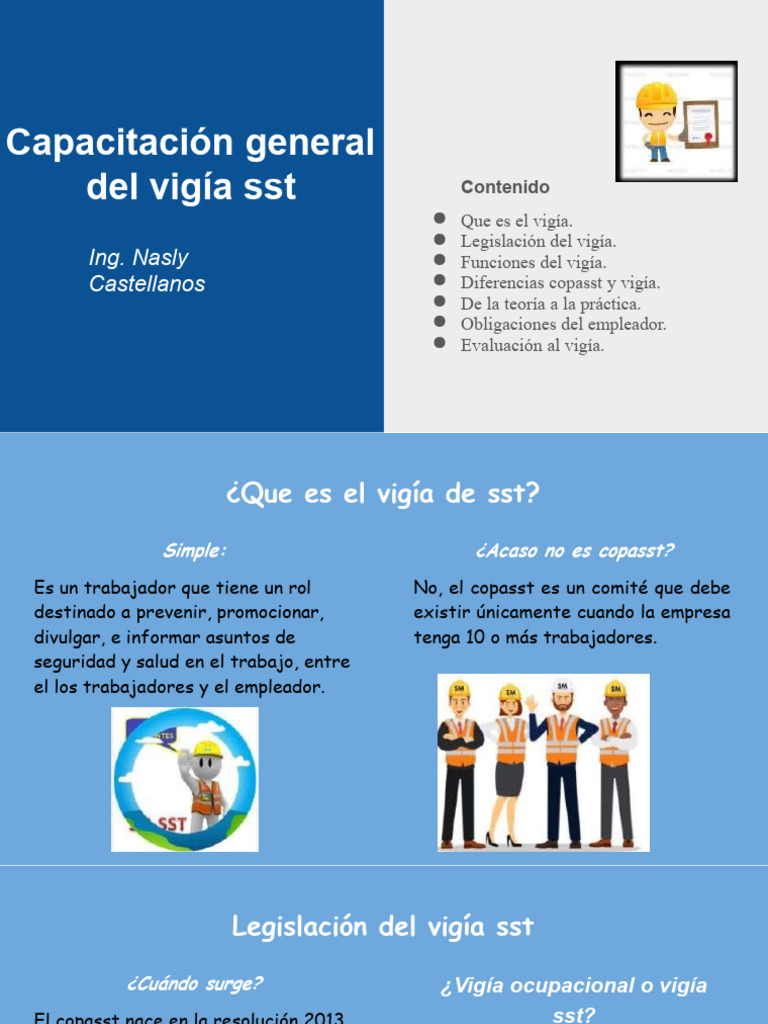 Capacitacion Vigia SST | PDF