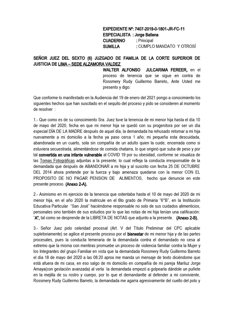 WALTER ALFONSO JULCARIMA FEREER Adjunto Documentos | PDF | La violencia ...
