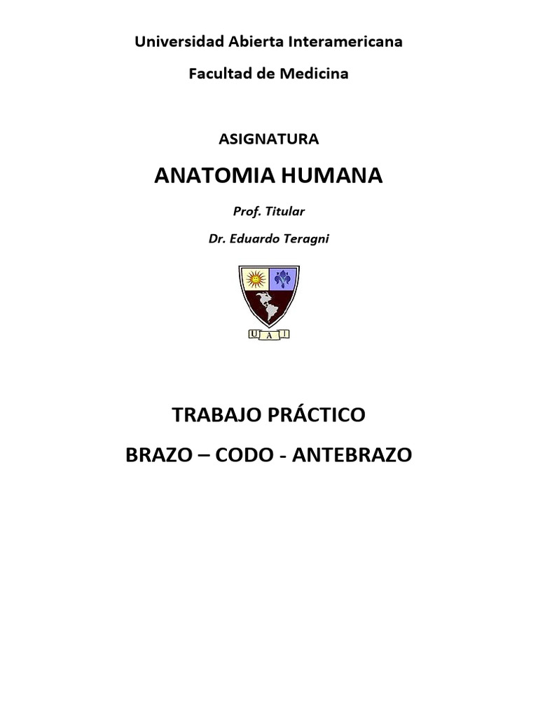 Trabajo Practico Brazo Codo Antebrazo | PDF | Codo | Articulaciones