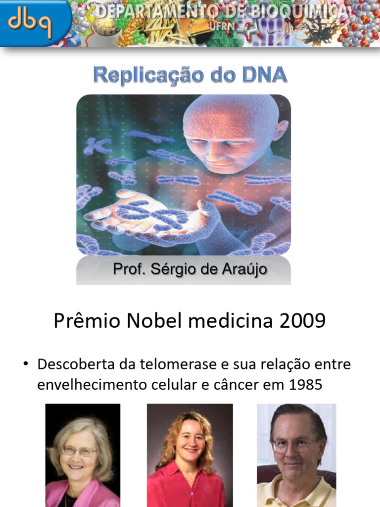 Aula+29+-+Replicação+do+DNA | PDF | Primer (Biologia Molecular ...