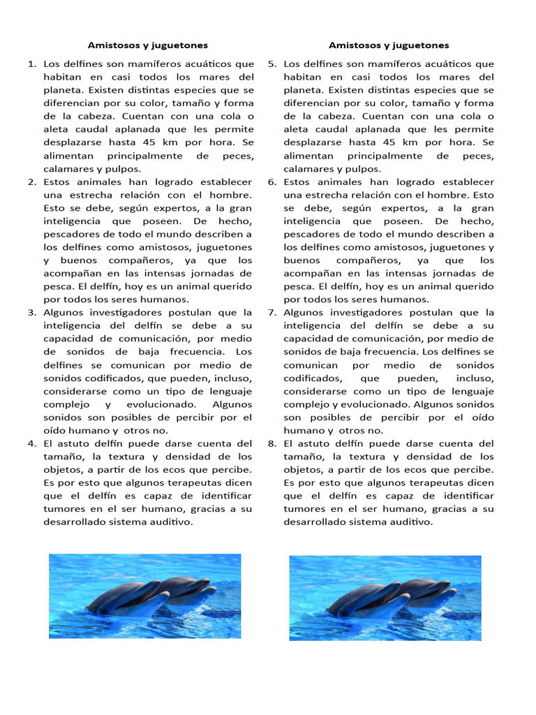 Amistosos y juguetones - texto descriptivo de los delfines | PDF | Zoología