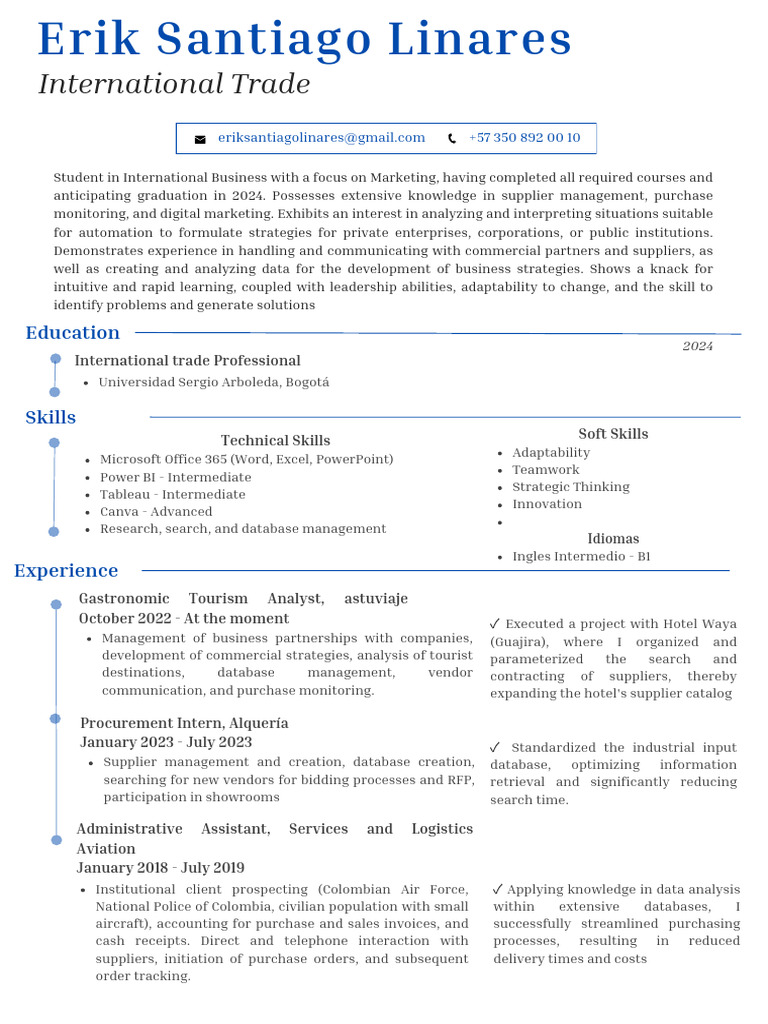 CV Erik Santiago Linares - Ingles | PDF | Strategic Management | Databases