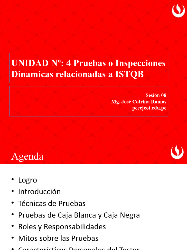 Técnicas de Pruebas de Software Efectivas | PDF | Software | Ciencias de la Computación