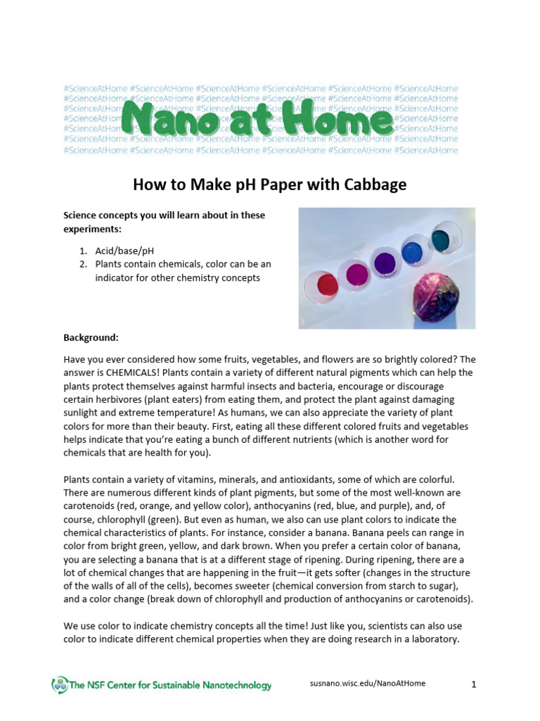 Cabbage Paper Instructions2 | PDF | Plants | Banana