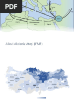 Tatarcik | PDF