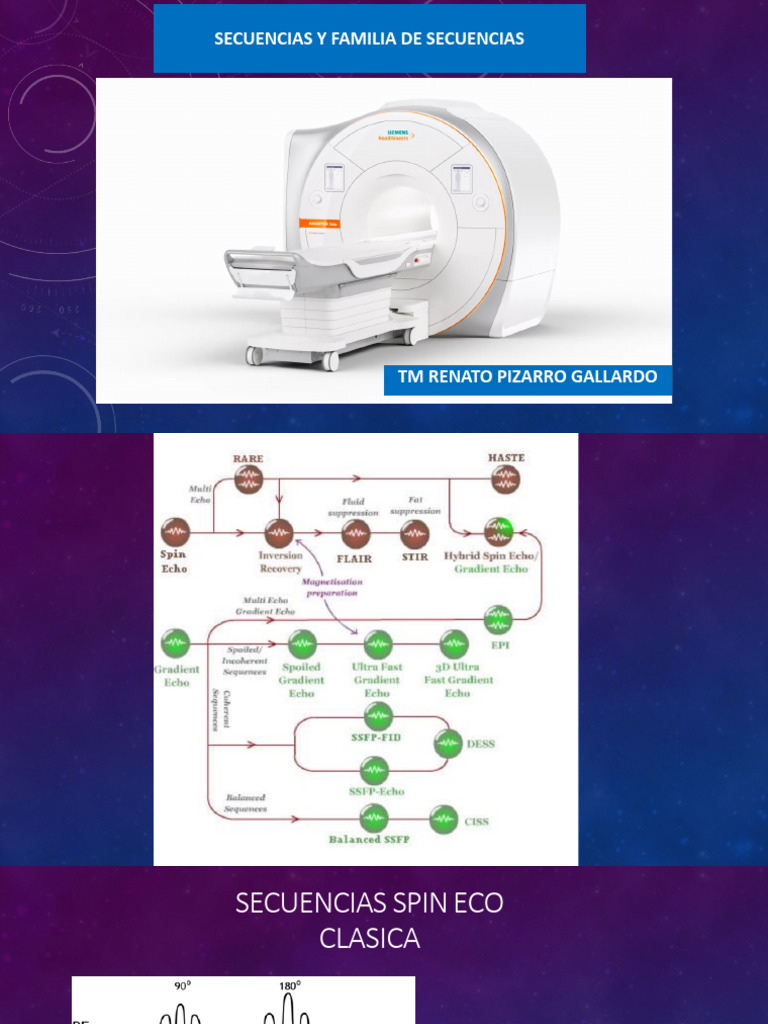 Secuencias de RM: T1, T2, DP y DIR | PDF