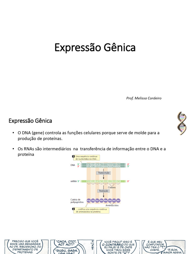 Expressão Gênica e Controle | PDF | RNA | Gene