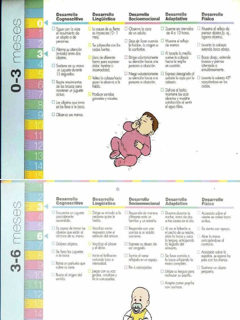 Hitos Del Desarrollo | PDF