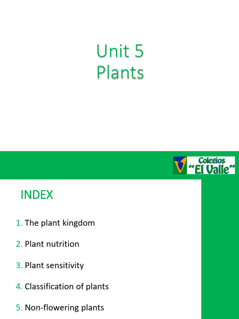 Unit 5 - Plants - (students) | PDF | Leaf | Plants
