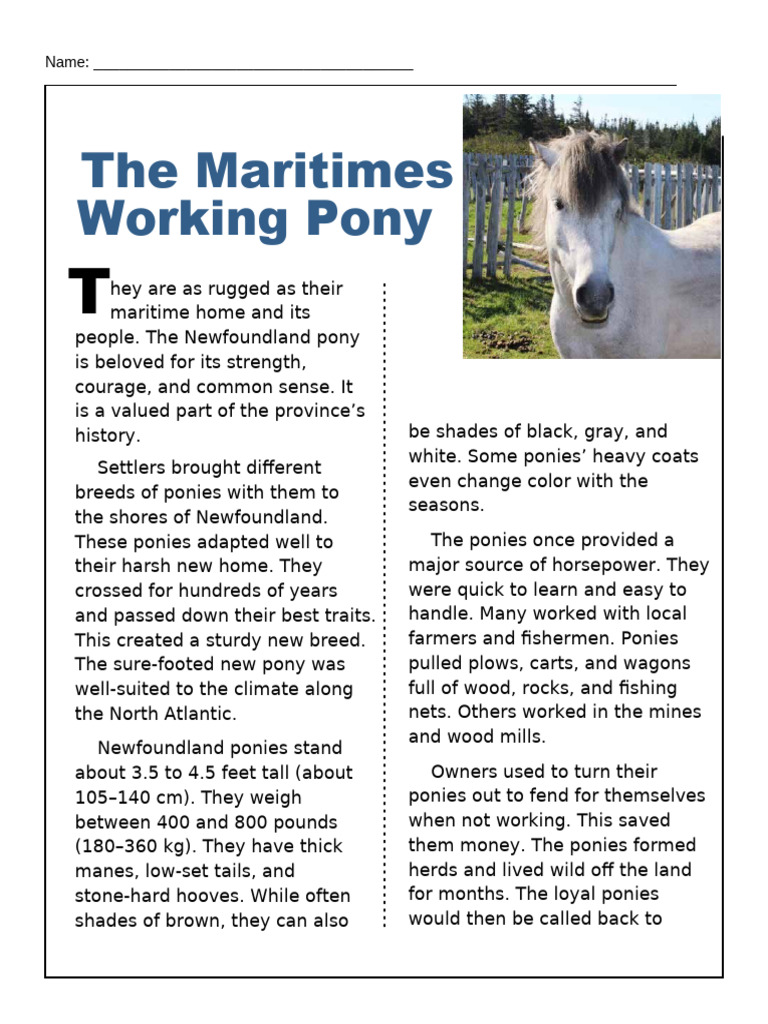 4th Maritimes Working Pony | PDF | Pony | Horses 4th Maritimes Working Pony | PDF | Pony | Horses