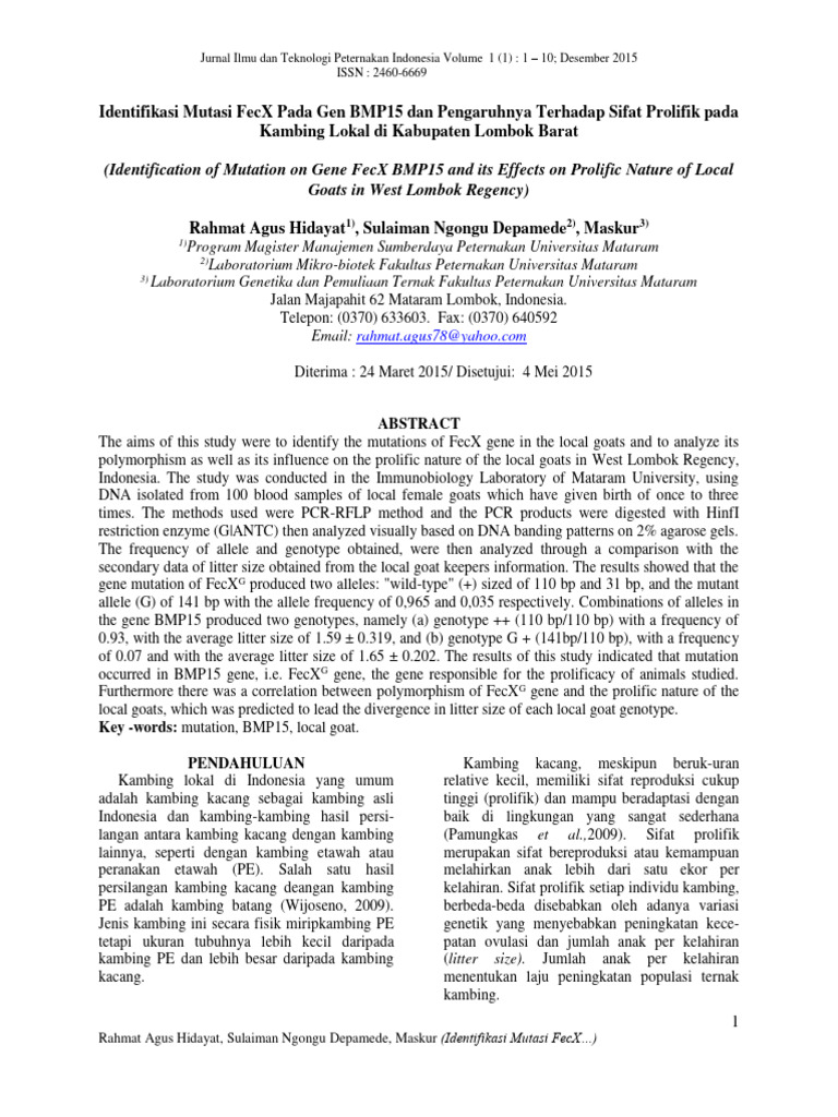 Mutasi Gen FecX BMP15 Kambing Lombok | PDF | Sains & Matematika