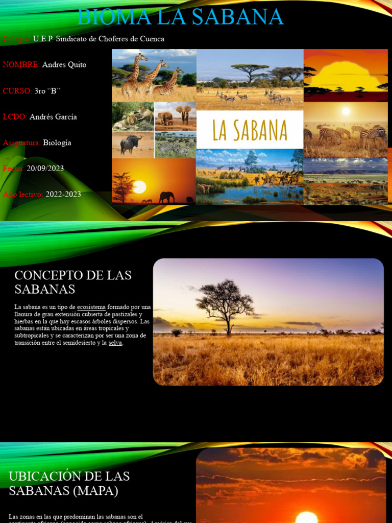 Bioma La Sabana | PDF