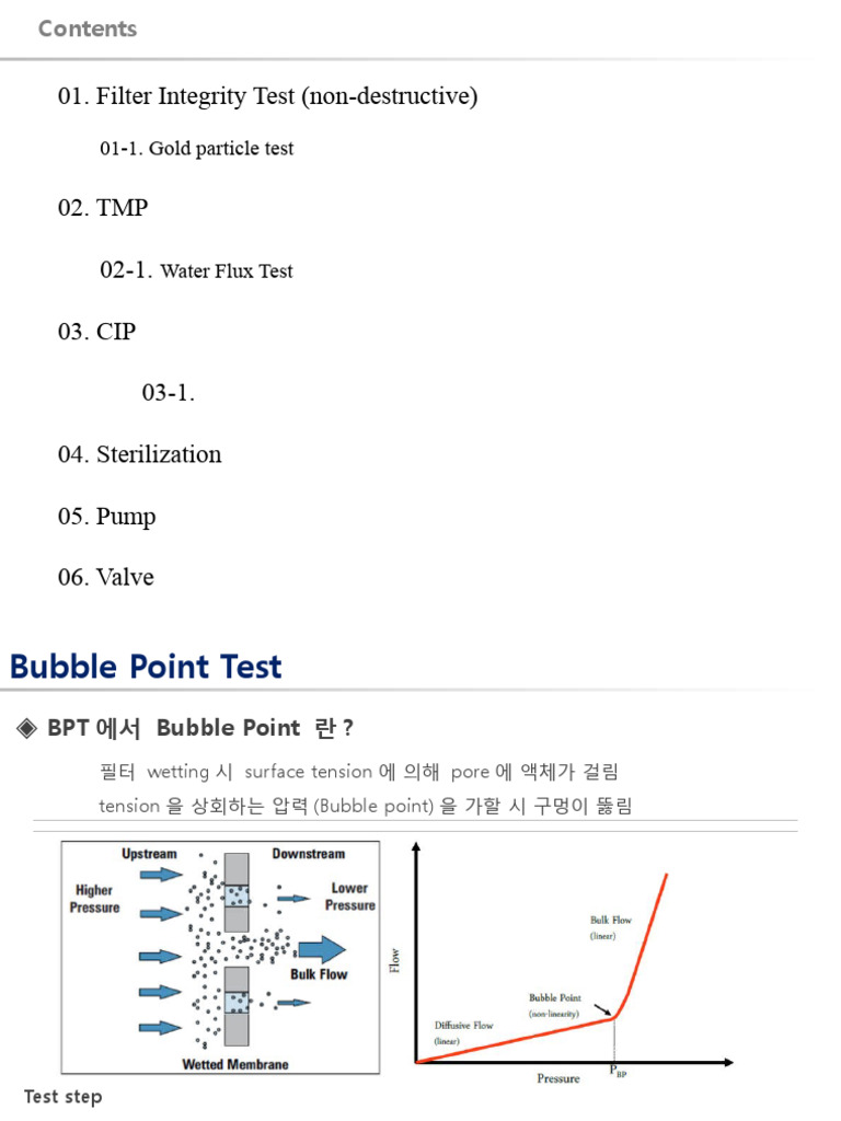 Filter Integrity Test (Non-Destructive) | PDF