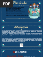 Plan de Alta Metodo Cuidarme | PDF | Enfermería | Hospital