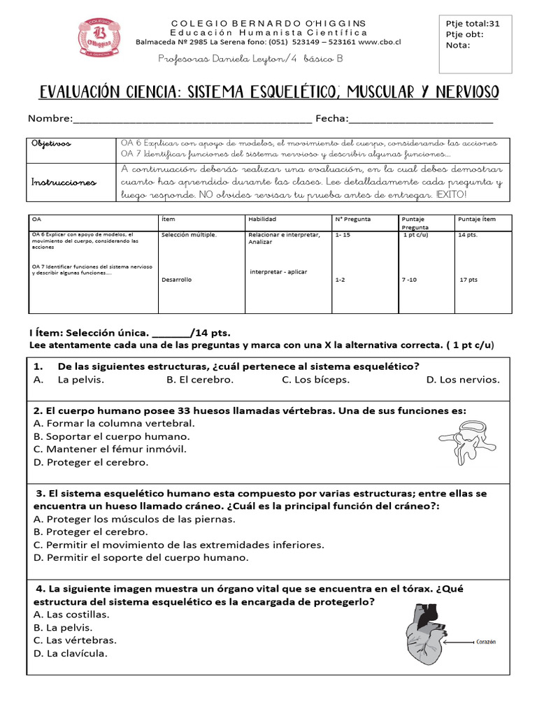 Evaluación Ciencias Sistema Nervioso, Esqueletico y Muscular 4 Basico B ...