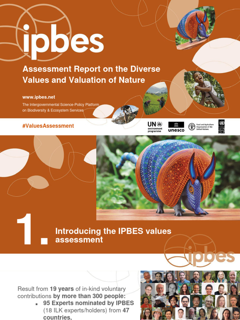 Values - IPBES Side Event - 8 December | PDF | Sustainability ...