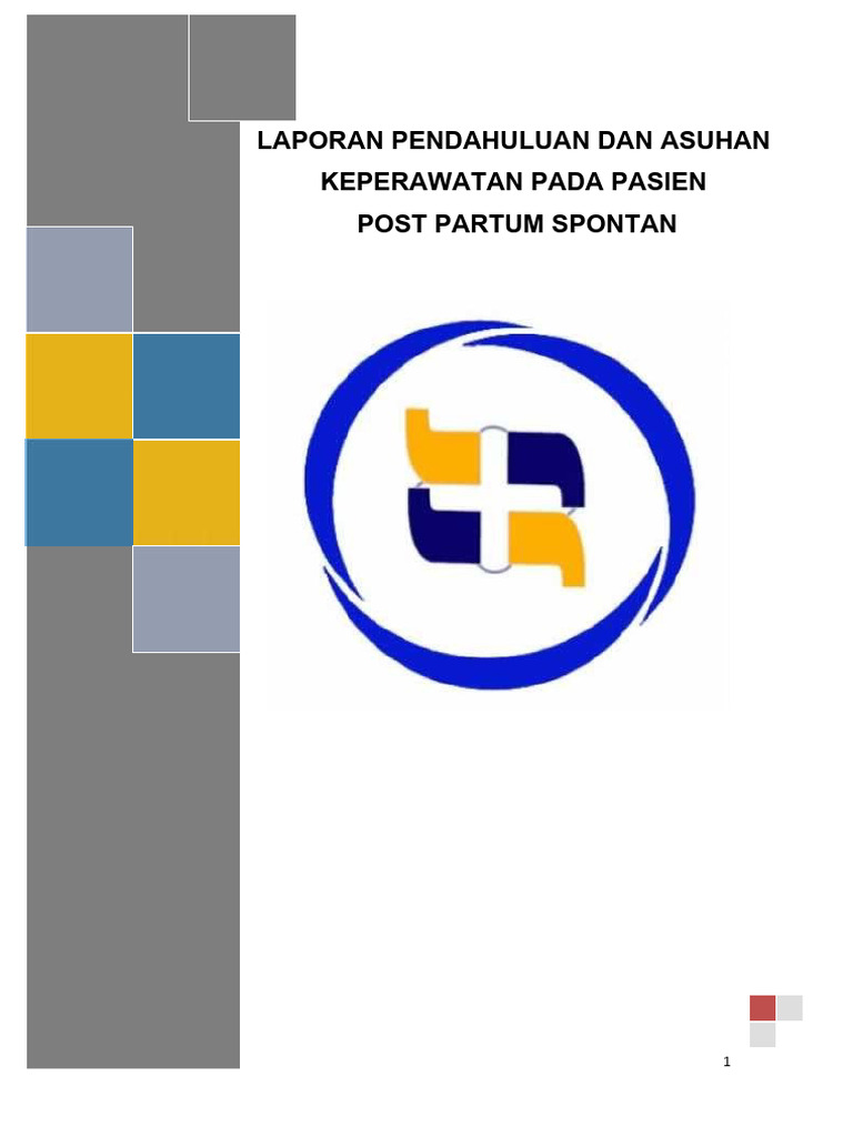 LP Post Partum Spontan | PDF