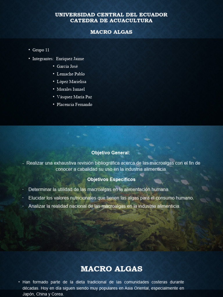 Algas 2 | PDF | Nutrición | Dieta y nutrición