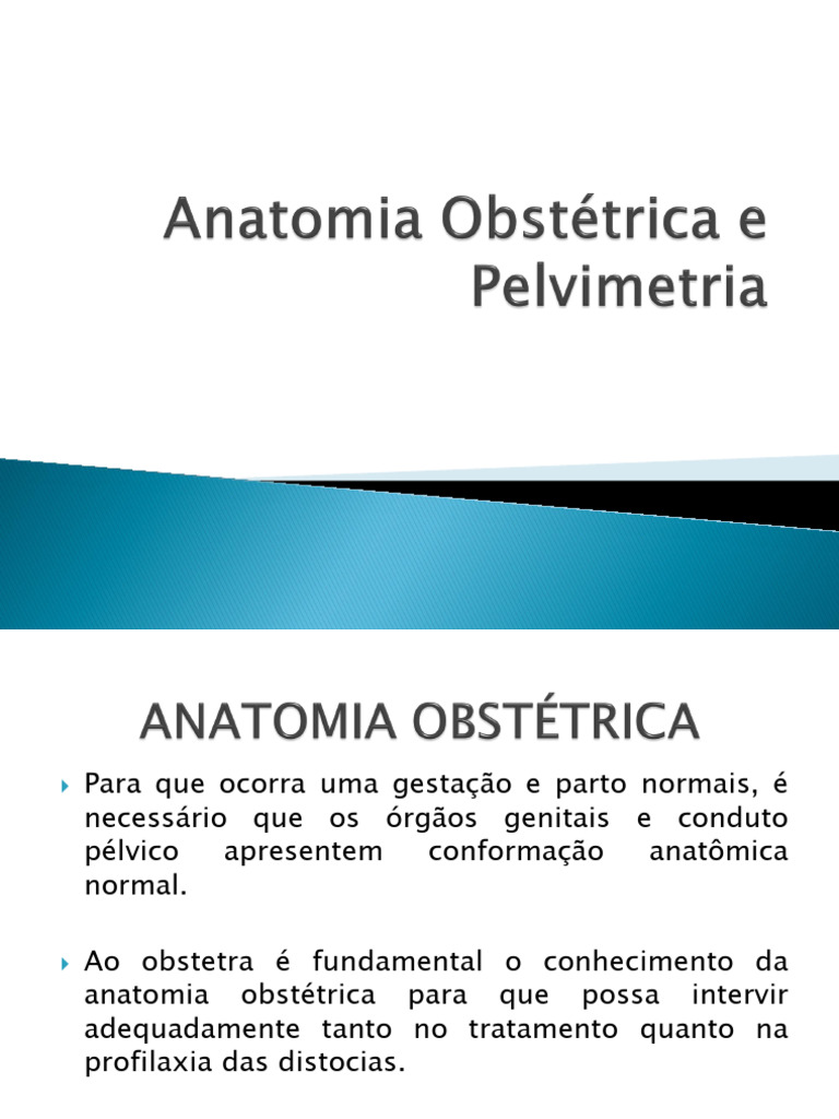 Anatomia Pélvica e Pelvimetria na Obstetrícia | PDF | Pélvis | Placenta