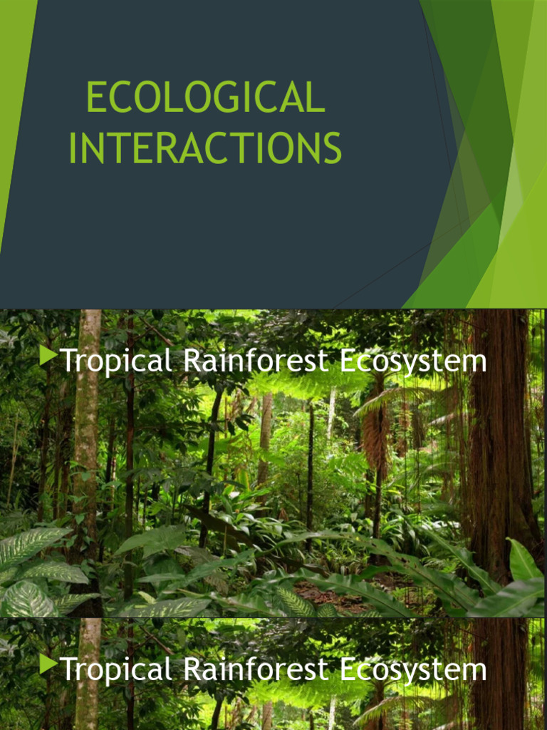Ecological Interactions in Tropical Rainforest | PDF | Science ...