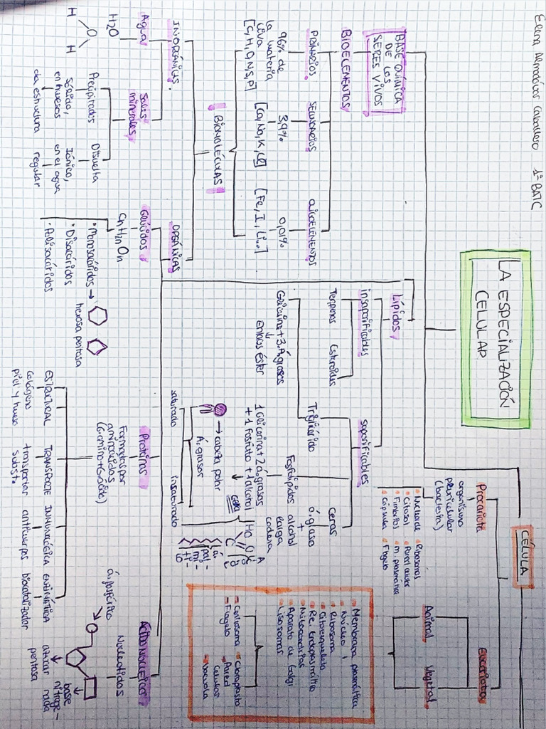 Esquema t. 1 Elena Almodóvar | PDF