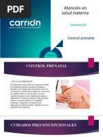 Carnet Perinatal para Embarazadas 2024 | PDF | Embarazo Mamífero | Medicina