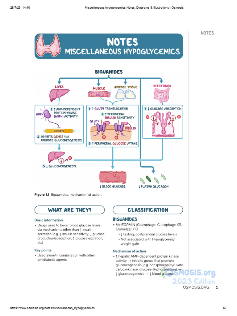 Osmosis Diabetes | PDF