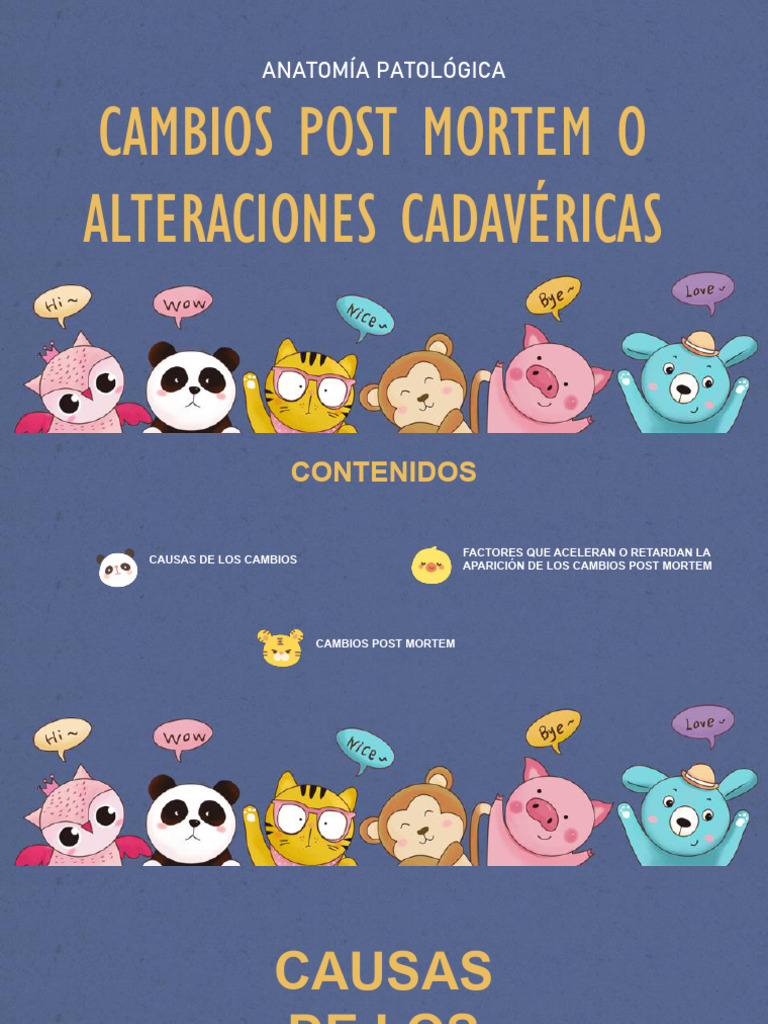 Cambios Post Mortem - Emma - Lili - Mariel | PDF | Descomposición | Abdomen