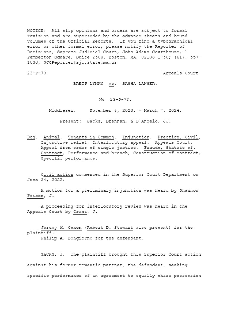 Lyman v. Lanser, No. 23-P-73 (Mass. App. Ct. Mar. 7, 2024) | PDF ...