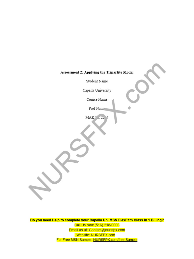 NURS FPX 6103 Assessment 2 Applying The Tripartite Model | PDF ...