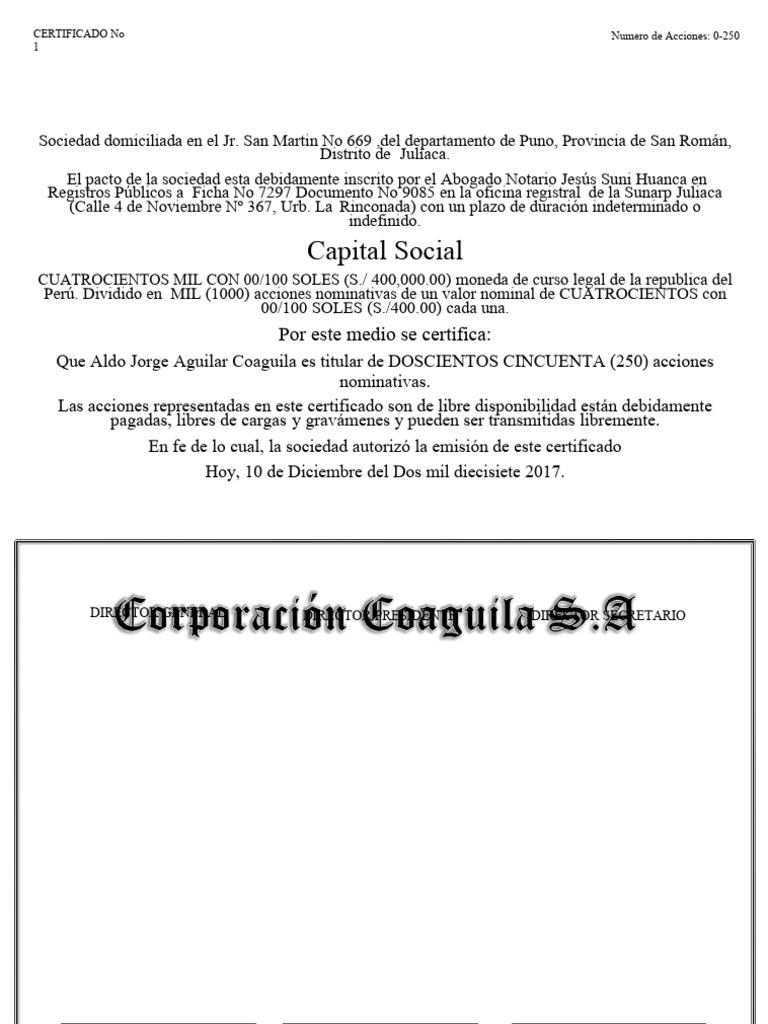 Certificado de Acciones MODELO | PDF | Mercado de divisas | Ley común