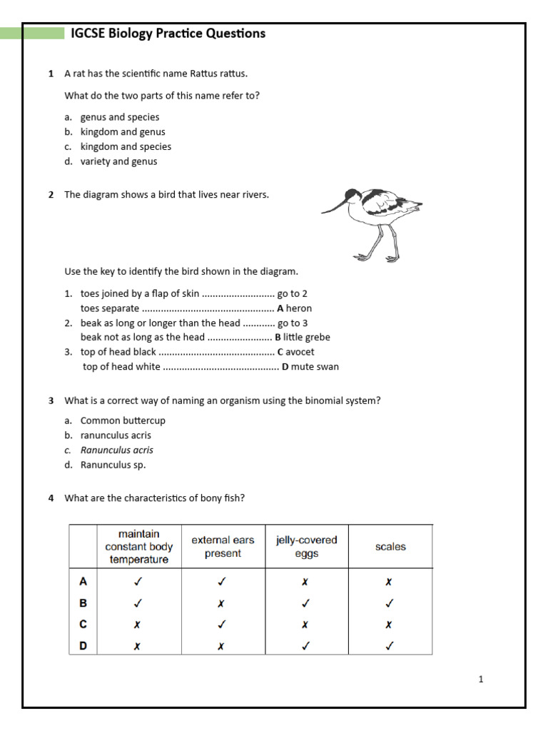 Ch1 IGCSE practice questions | PDF | Zoology | Organisms