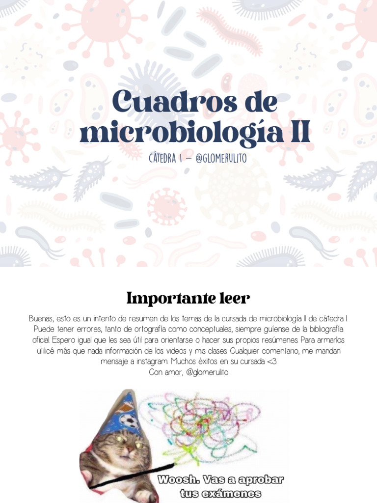 Cuadros de Micro II | PDF