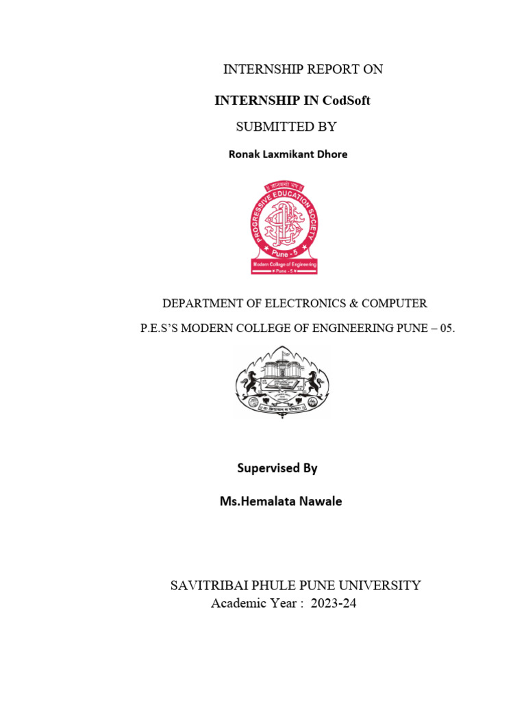 Report Final | PDF | Usability | Information Technology