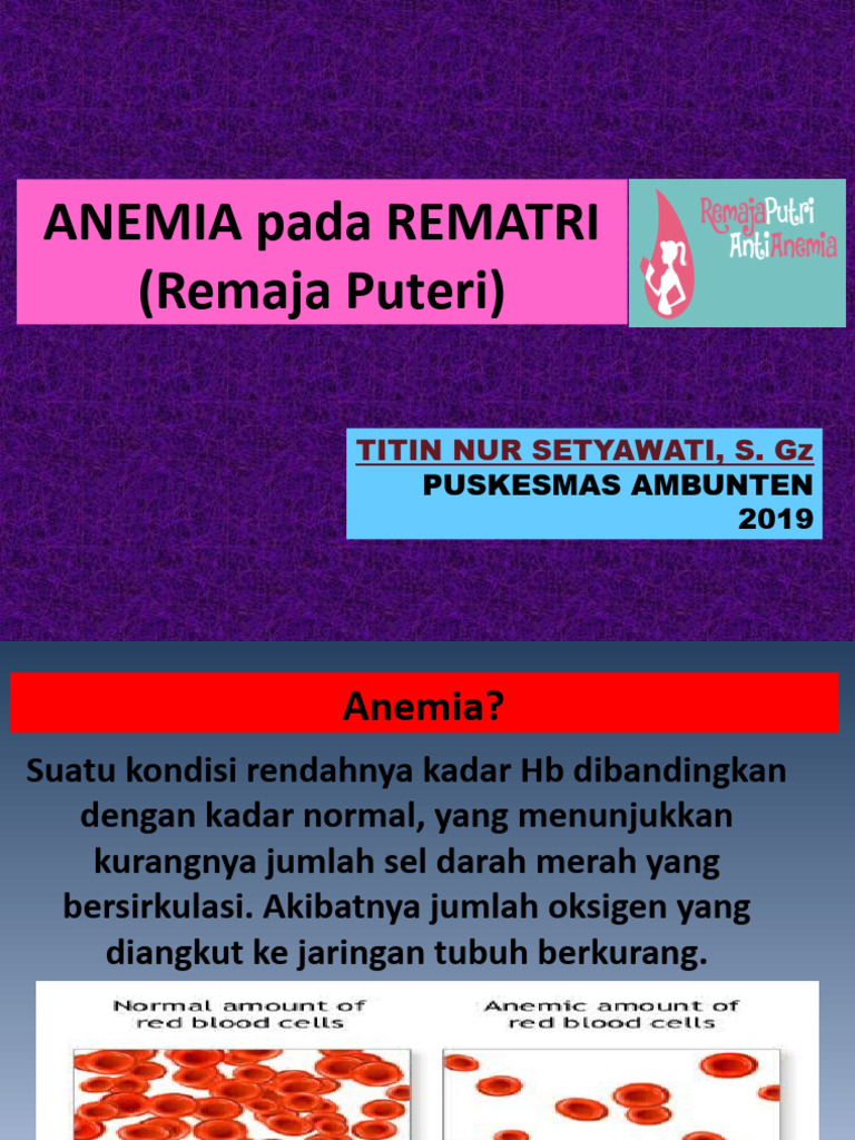 Anemia Pada Rematri | PDF