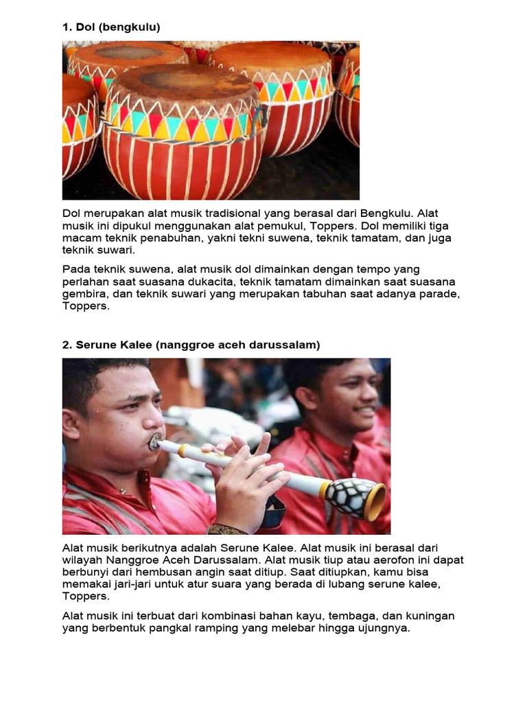 Alat Musik Tradisional Indonesia: Dol | PDF