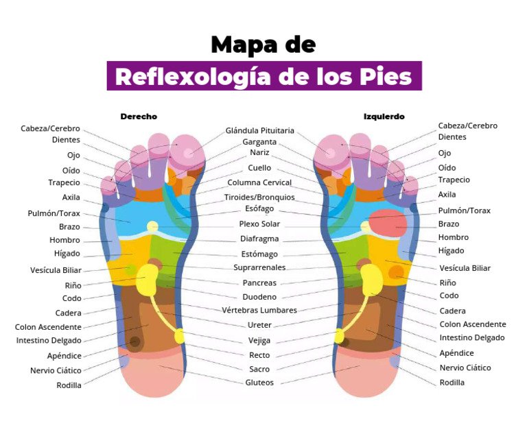 Mapa de Reflexología de los Pies | PDF | Salud y bienestar