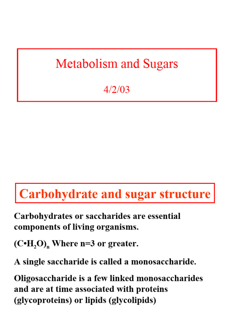 Lecture - 19a-Metabolism and Sugars | PDF | Carbohydrates | Metabolic ...