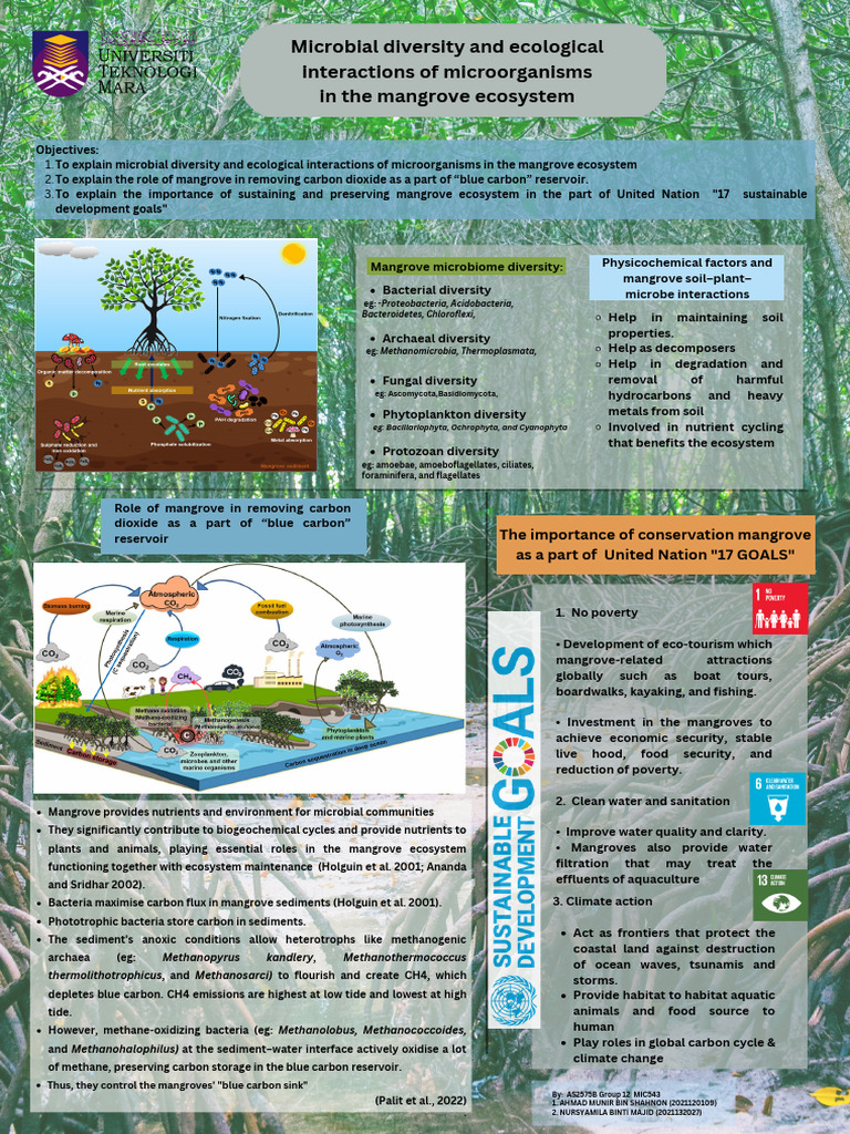 Mic543 Poster | PDF | Mangrove | Ecosystem