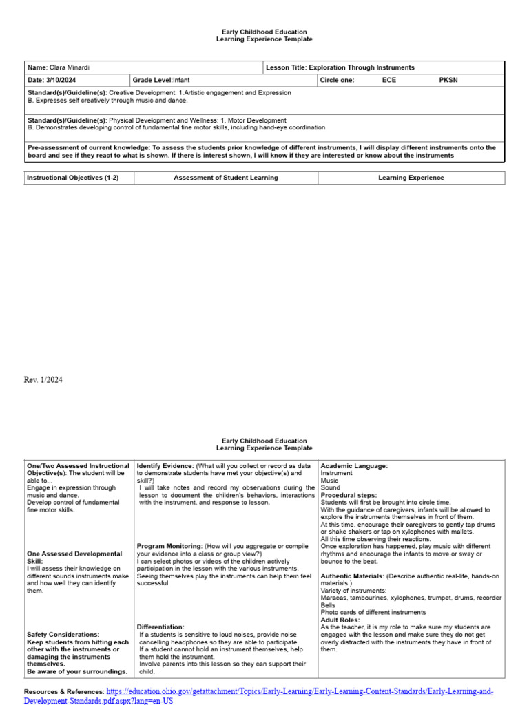 Ece Lesson Plan Music | PDF | Early Childhood Education | Learning