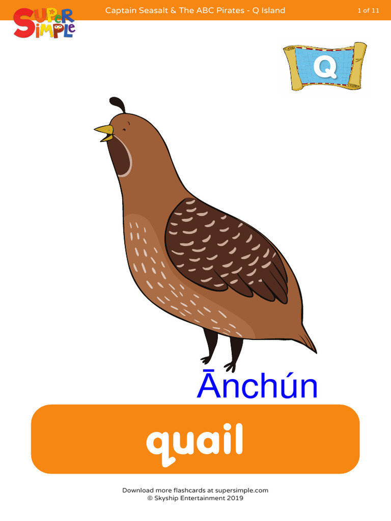 Abc-Pirates-Q-Flashcards | PDF