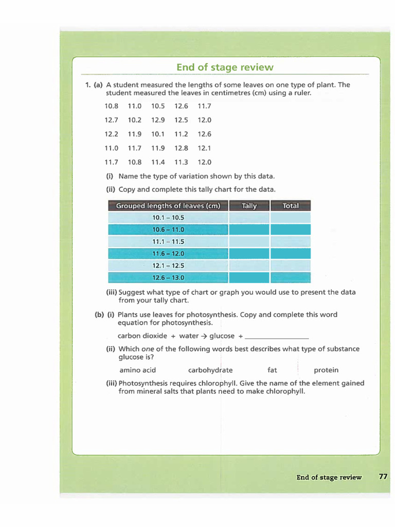 WS Y9 End of Stage Review BIO | PDF