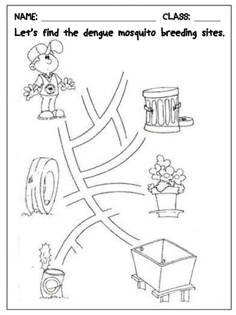 Dengue Worksheet 1 | PDF
