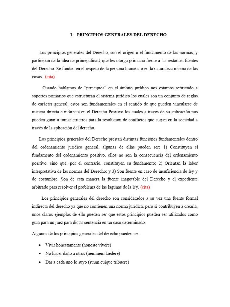 Principios Generales Del Derecho Pdf